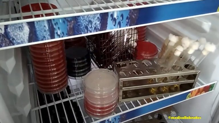 Common Instruments Used in Microbiology Laboratory: Introduction
