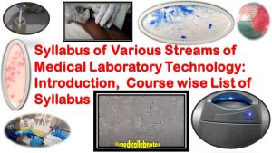 Syllabus of Various Streams of Medical Laboratory Technology: Int