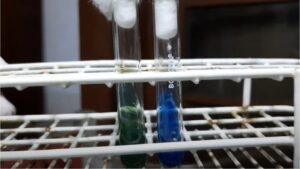 Simmon's and Koser's citrate: Introduction, Differences, and Keyno