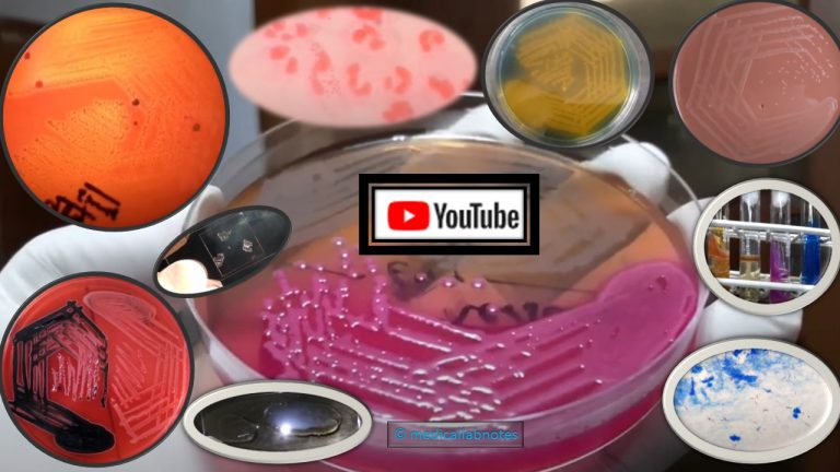 Bacterial Video Clips: Introduction, List of Bacteria, and Bacterial