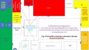 Clinical Microbiology Laboratory Design: Introduction, Section