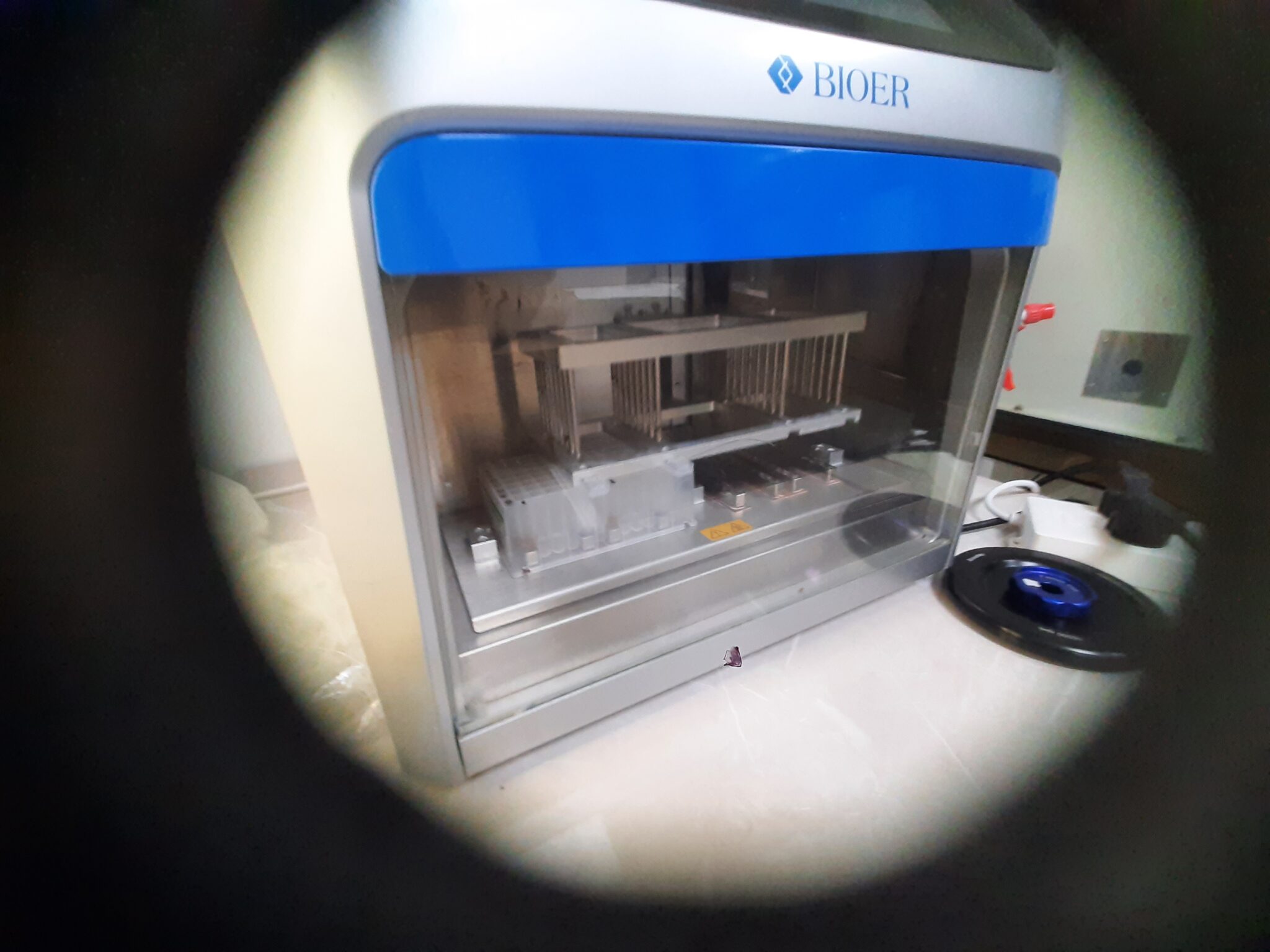 Dengue Serotyping Real-Time PCR Test: Introduction, Principle