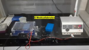 Gel Documentation System: Introduction, Principle, Components