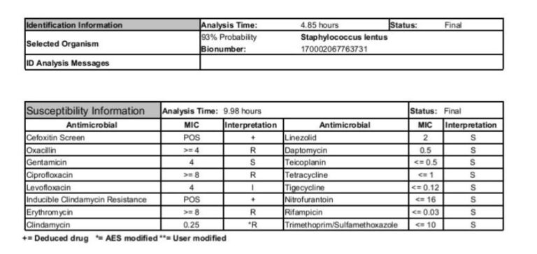 Staphylococcus lentus: Introduction, Morphology, Pathogenicity