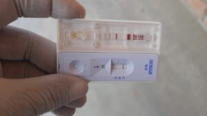 Top 10 Viral Pathogens- List with Short Descriptions, and Footage