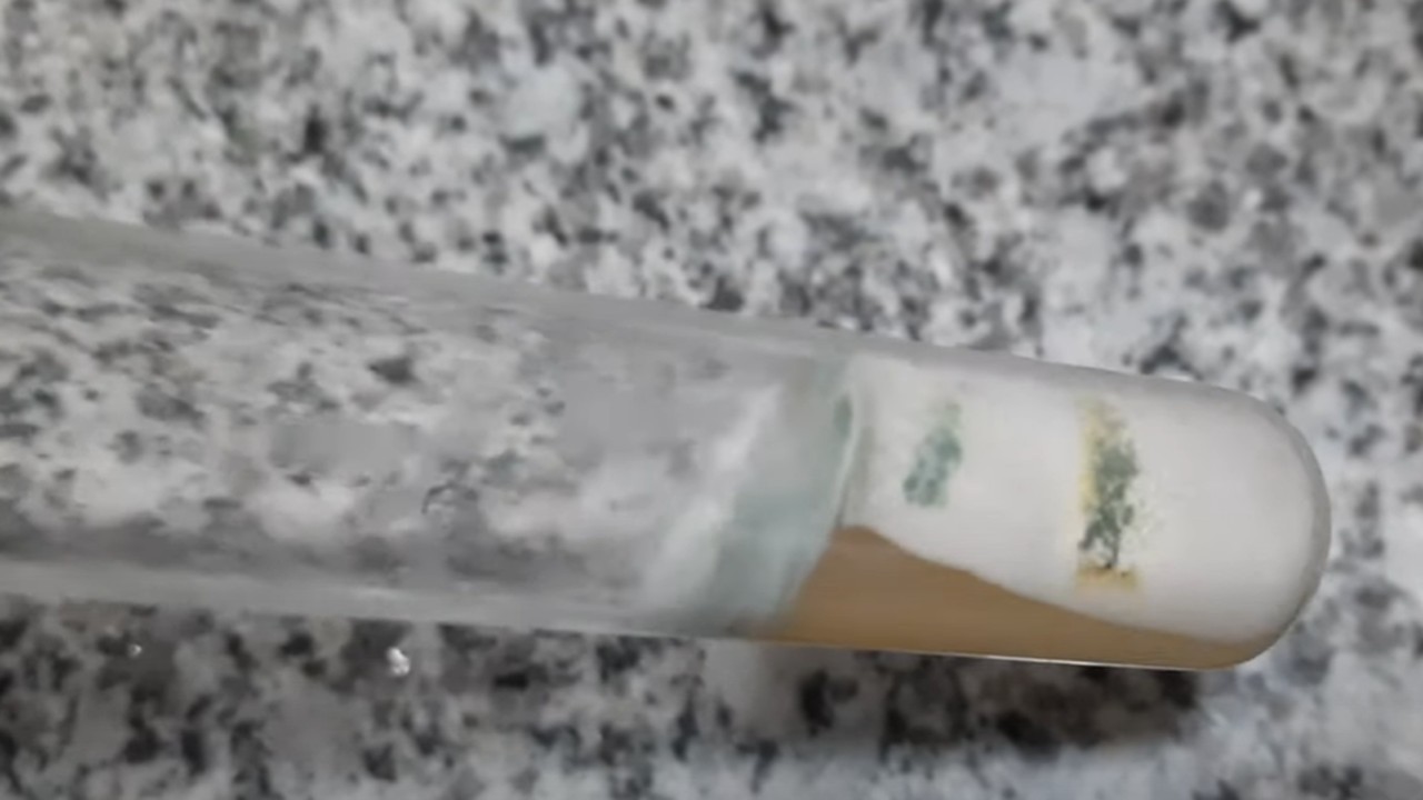 Fungal Culture-Introduction,Common Culture Media, Application