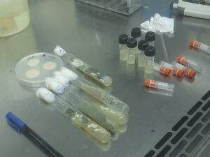 Biosafety Cabinet (BSC)-Introduction, Purpose and Functio