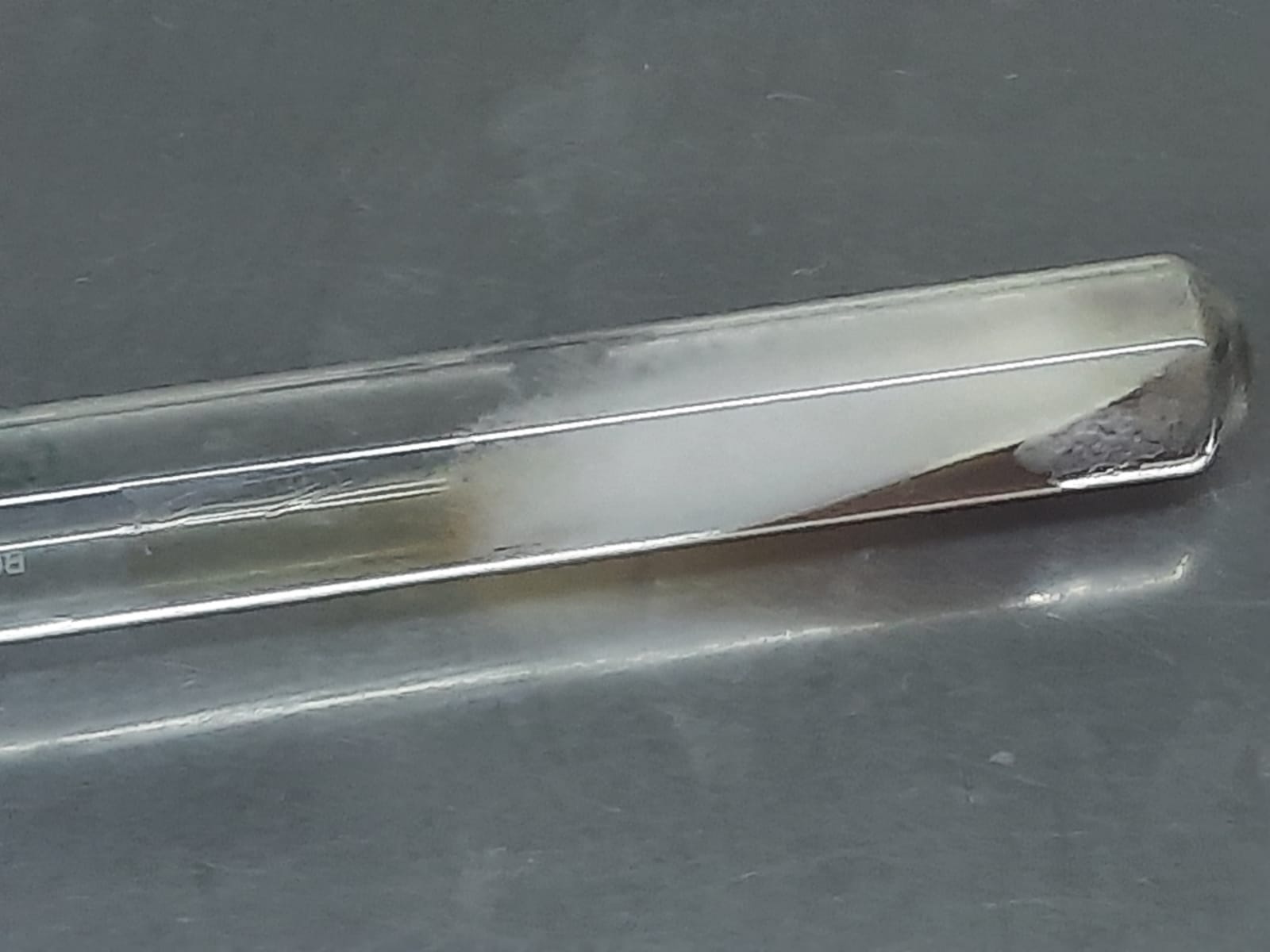 Yeasts vs Molds: Detailed Comparison, Mixed Growth Isolation