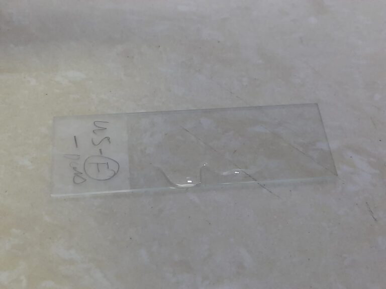 Biological Indicator (Bionova BT20) for Autoclave Sterilization Vali